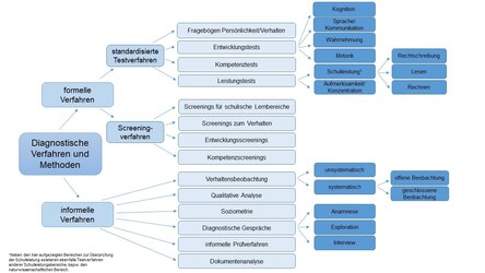 Diagnostische Verfahren: Methoden und Instrumente zur Feststellung von ...